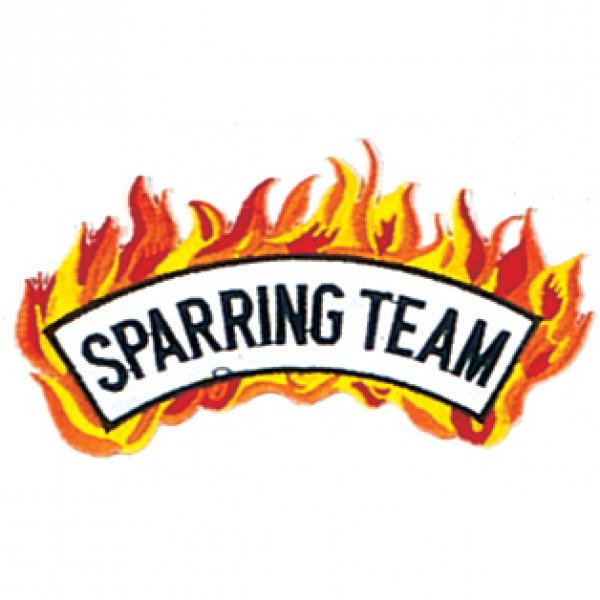Patch, Team, SPARRING TEAM, 4.75" – Prowin Corp.